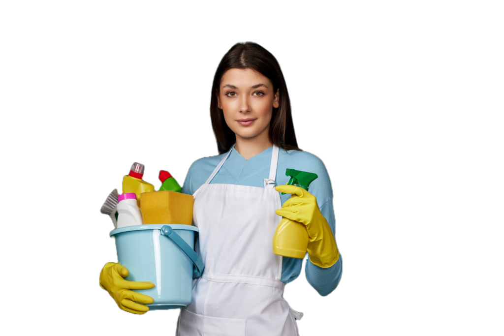 Ana’s Maid Services – Professional Cleaning Service