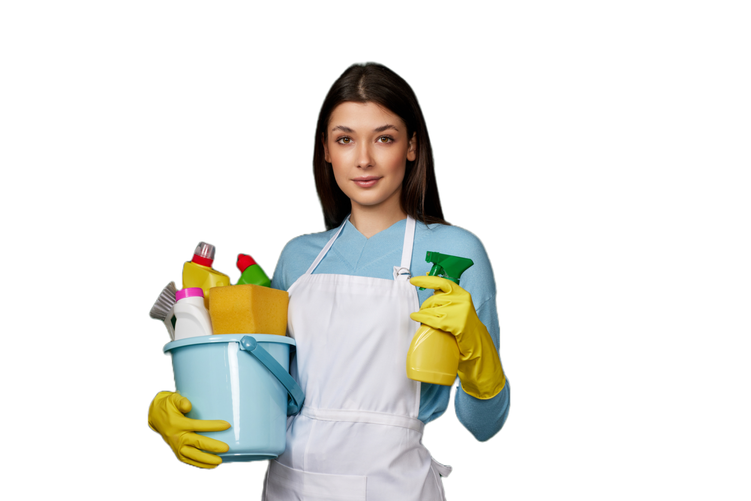 Ana’s Maid Services – Professional Cleaning Service